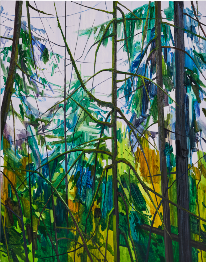 Nancy Littlejohn Fine Art // Nancy Littlejohn Fine Art